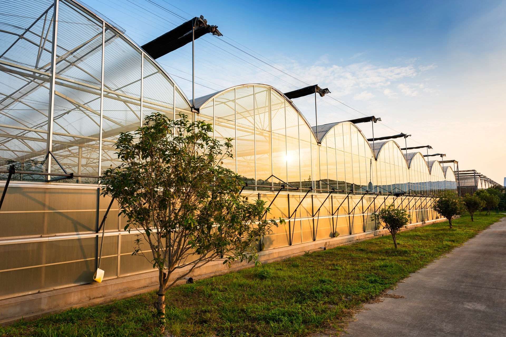 HİZMETLER – Green Farm Topraksız Tarım Sistemleri